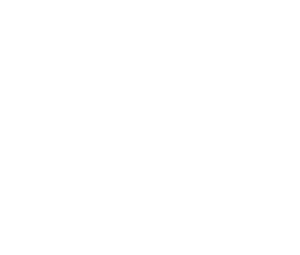 About - Magnifica Air