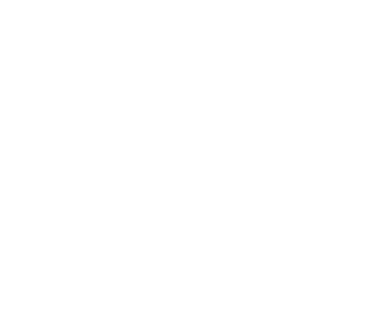 About - Magnifica Air